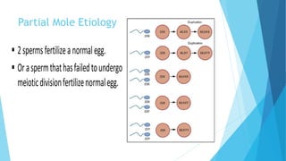 Gestational trophoblastic diseases | PPTX