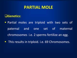GESTATIONAL TROPHOBLASTIC DISEASES 27.02.2020.ppt | Pregnancy ...