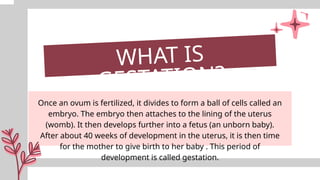 Gestation Biology Presentation in a Simple Style.pptx