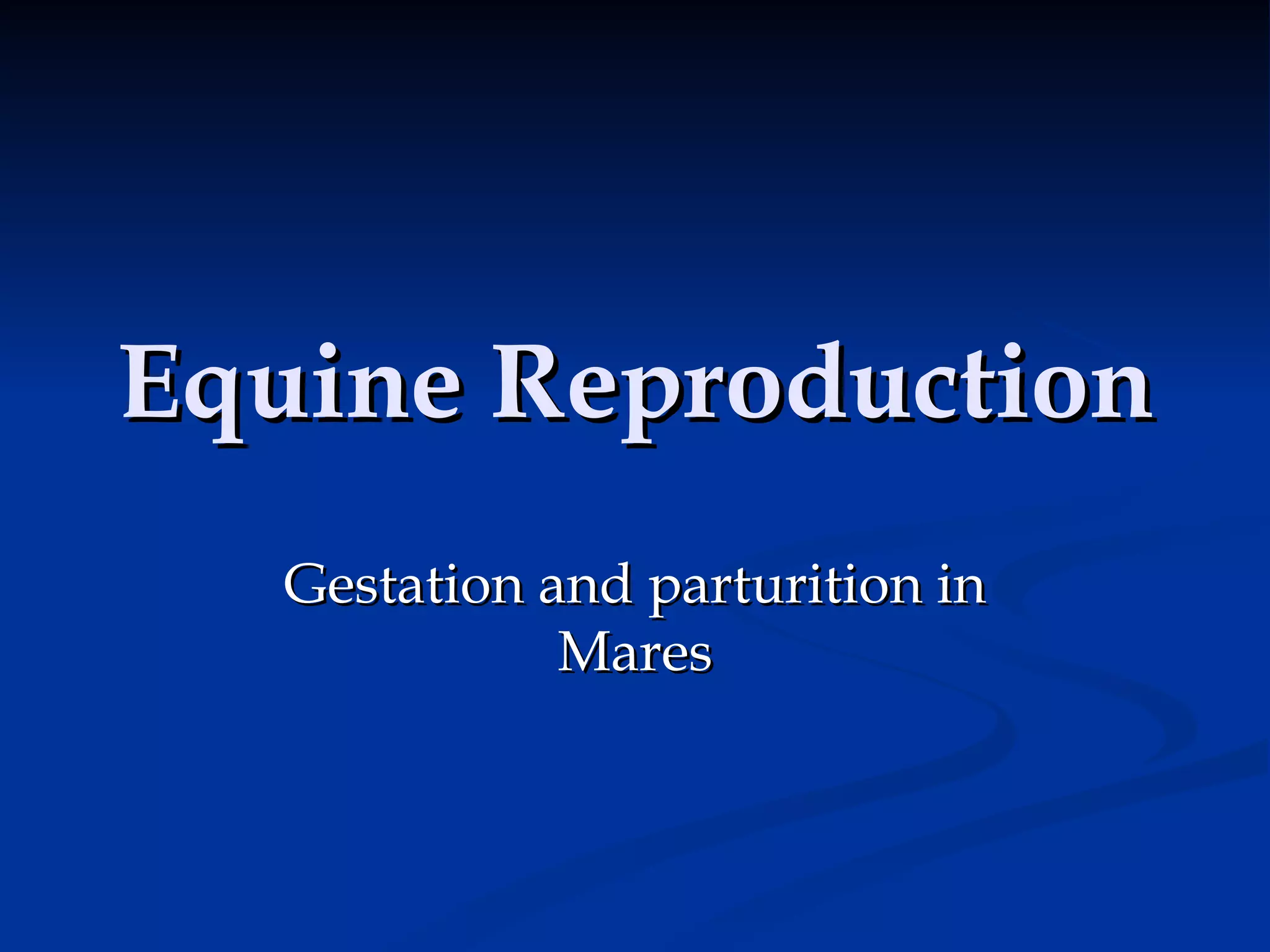 Gestation in mares | PPT