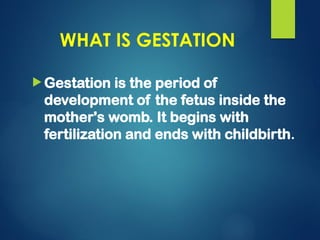 Gestation_Parturition_Full_Presentation 1.pptx