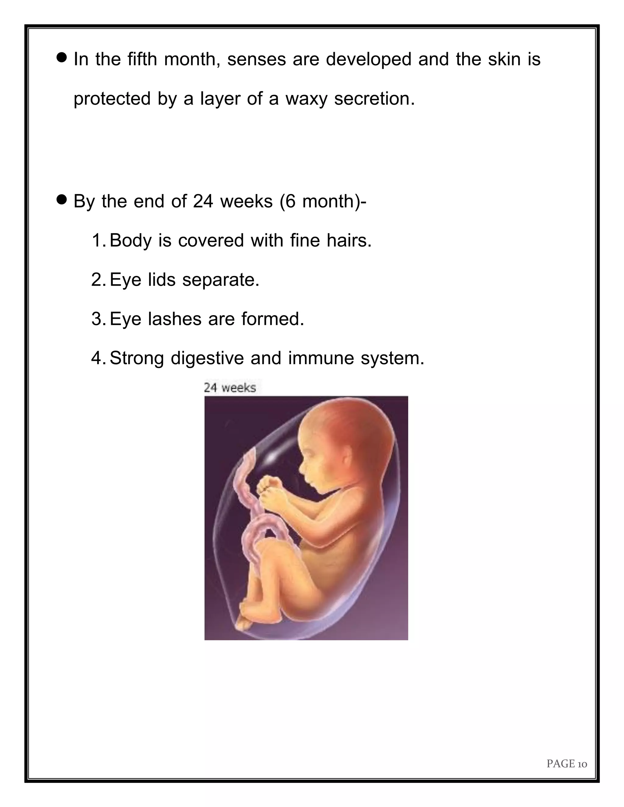 Gestation Period In Organisms Class 12th Project PDF Gestation Period In Organisms Class 12th Project PDF
