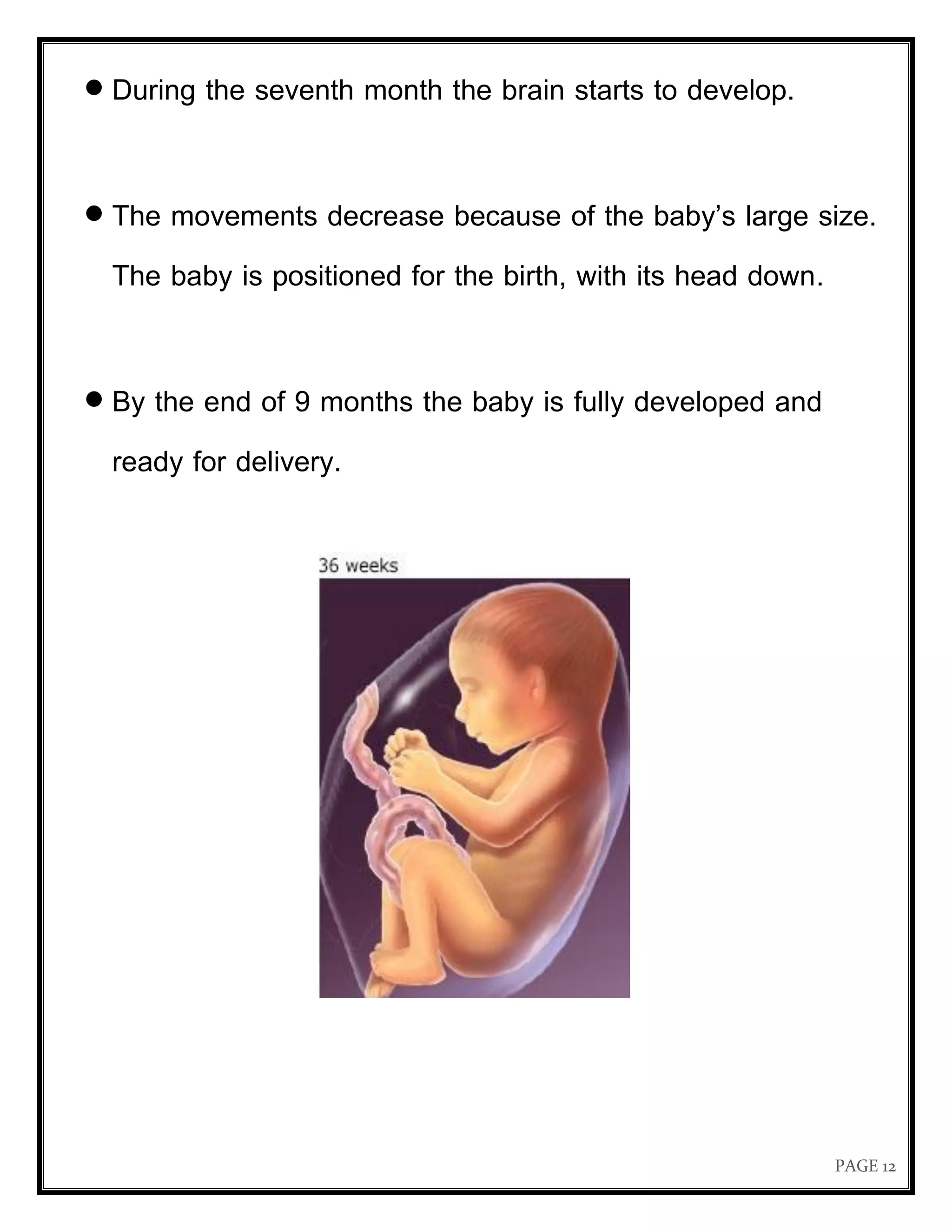 Gestation Period In Organisms Class 12th Project PDF Gestation Period In Organisms Class 12th Project PDF