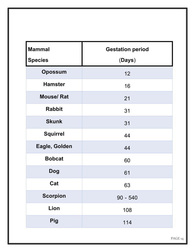 Gestation Period In Organisms Class 12th Project PDF gestation-period-in-organisms-class-12th-project-pdf
