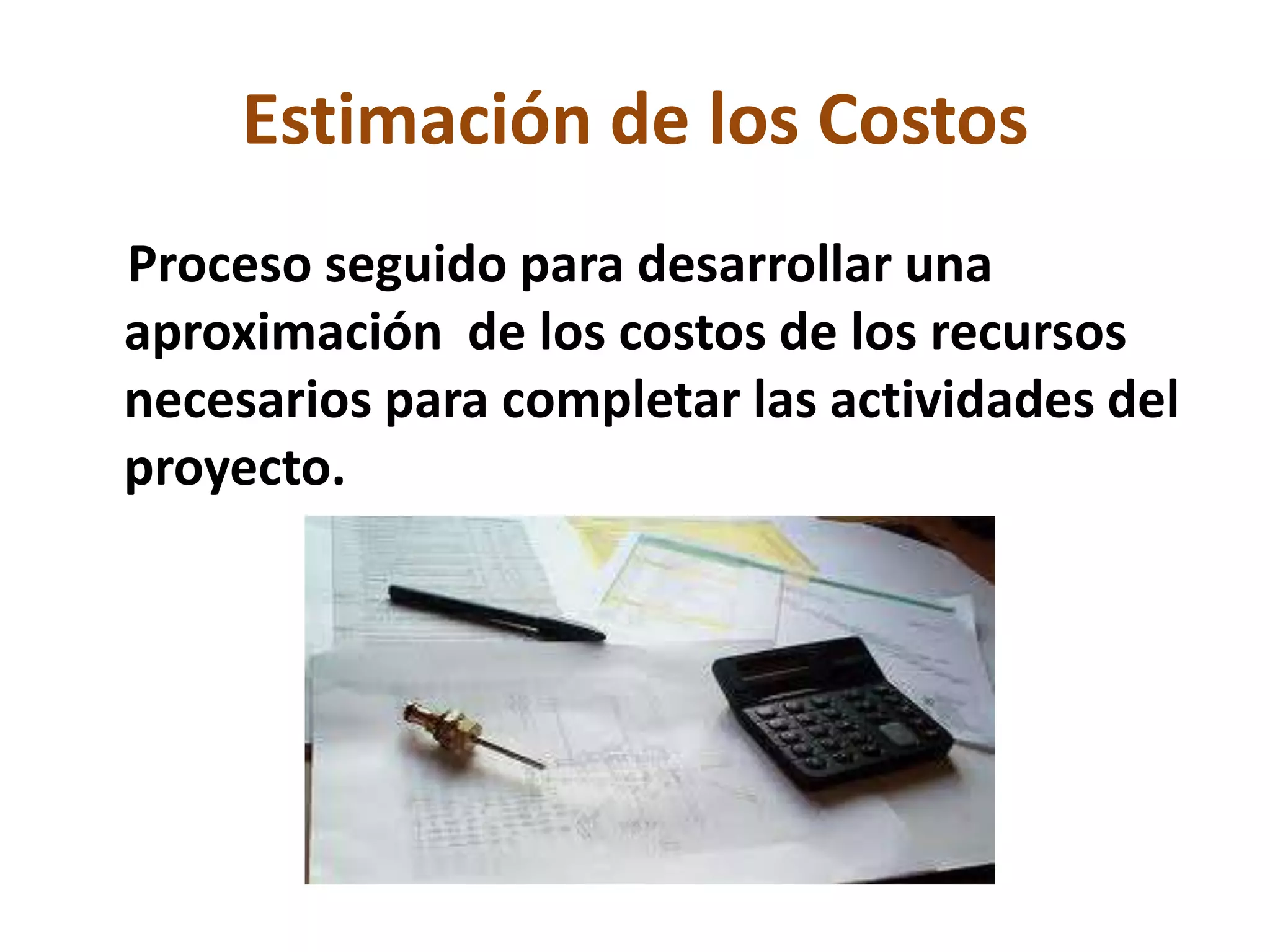 Gestión de los costos del proyecto | PPTX