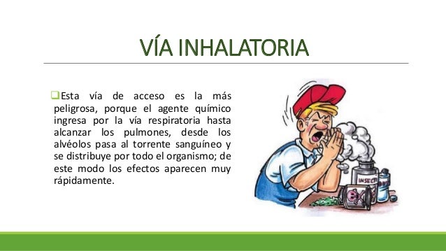 Gestión en so ante riesgos químicos