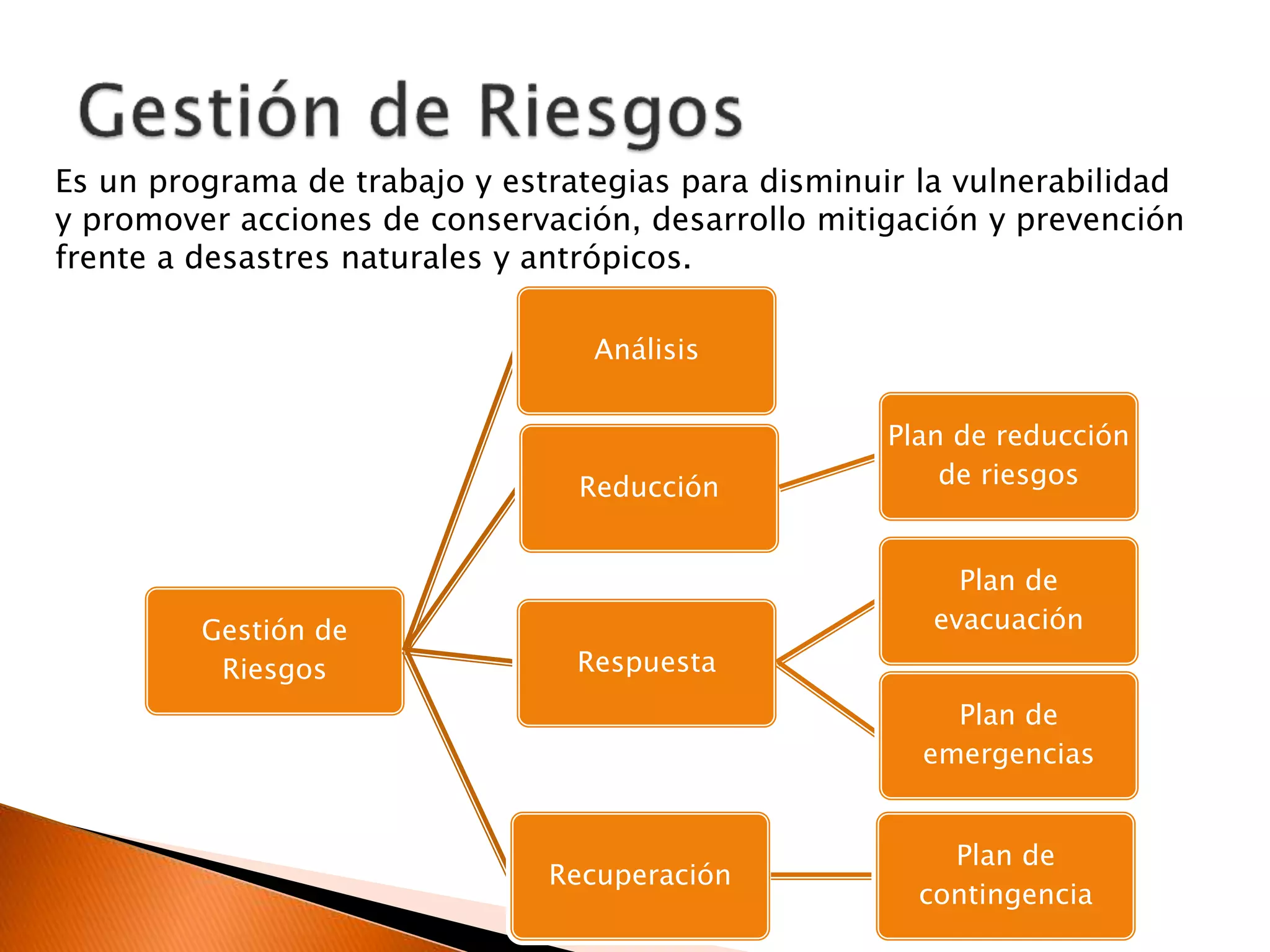 Gestion de riesgos | PPTX