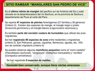 Gestión participativa en Sitio Ramsar Manglares de San Pedro de Vice ...