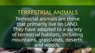 Animals around Humans, Main Body Parts of Common Animals | PPTX