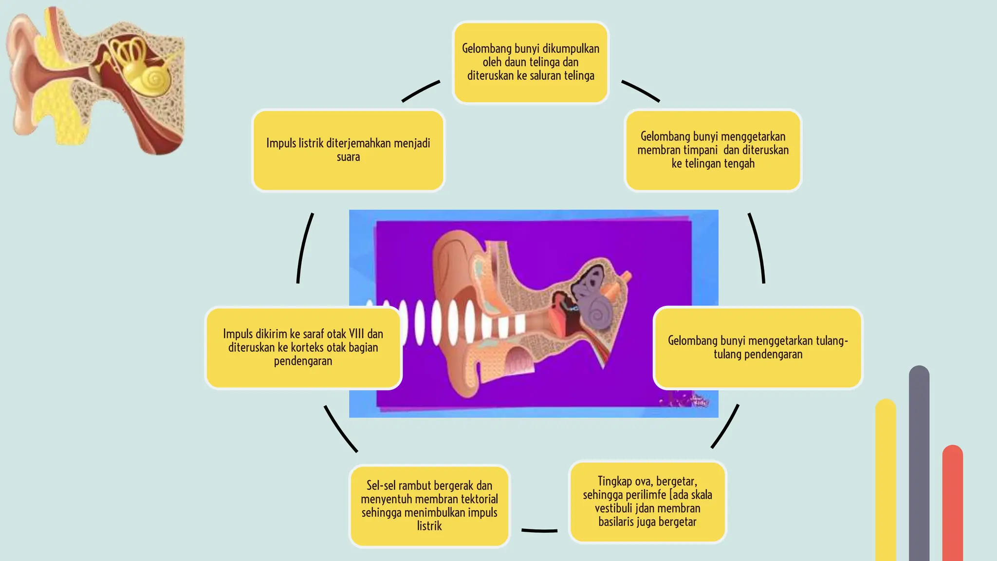 GETARAN GELOMBANG DAN BUNYI fix (1).pptx