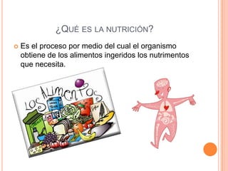 ALIMENTACION | PPTX