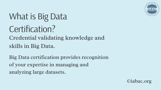 Get Certified in Big Data for Success.pdf