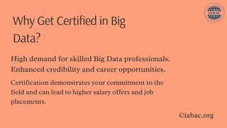 Get Certified in Big Data for Success.pdf