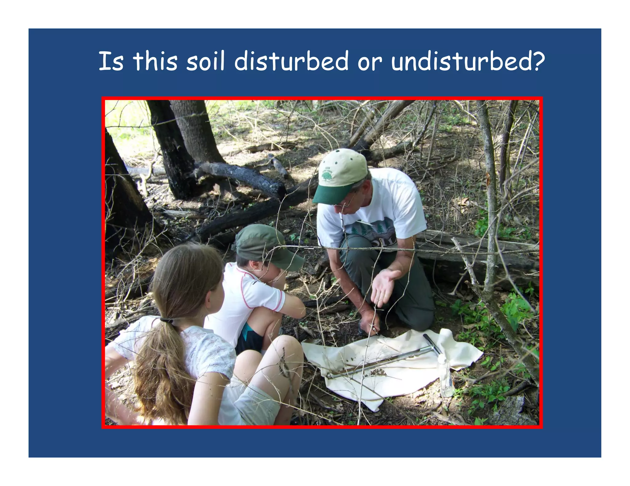 Get dirty! soil science education for kids | PDF | Primary Education ...