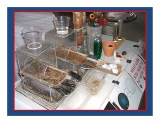 Get dirty! soil science education for kids | PDF | Primary Education ...