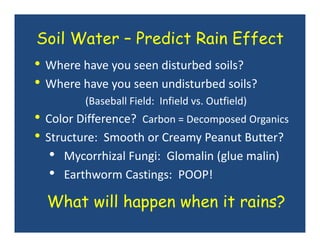Get dirty! soil science education for kids | PDF