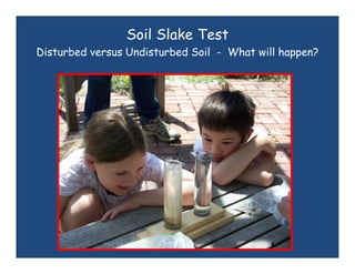Get dirty! soil science education for kids | PDF | Primary Education ...