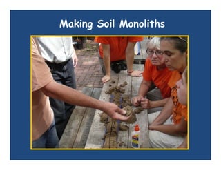 Get dirty! soil science education for kids | PDF | Primary Education ...