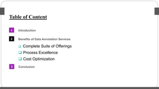 Get High Quality Data Annotation Services | PPTX