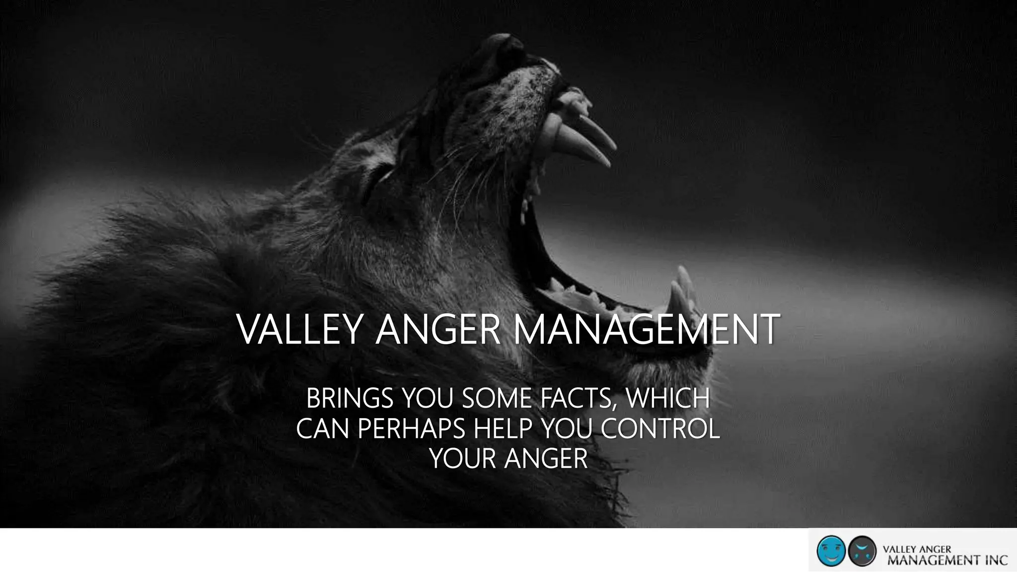 Importance of Anger Management Classes: VAM Anger Classes | PPTX