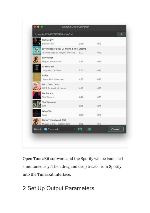Get Rainmeter Spotify Visualizer and Now Playing Feature | PDF