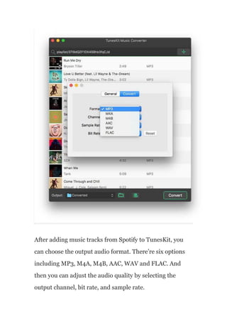 Get Rainmeter Spotify Visualizer and Now Playing Feature | PDF
