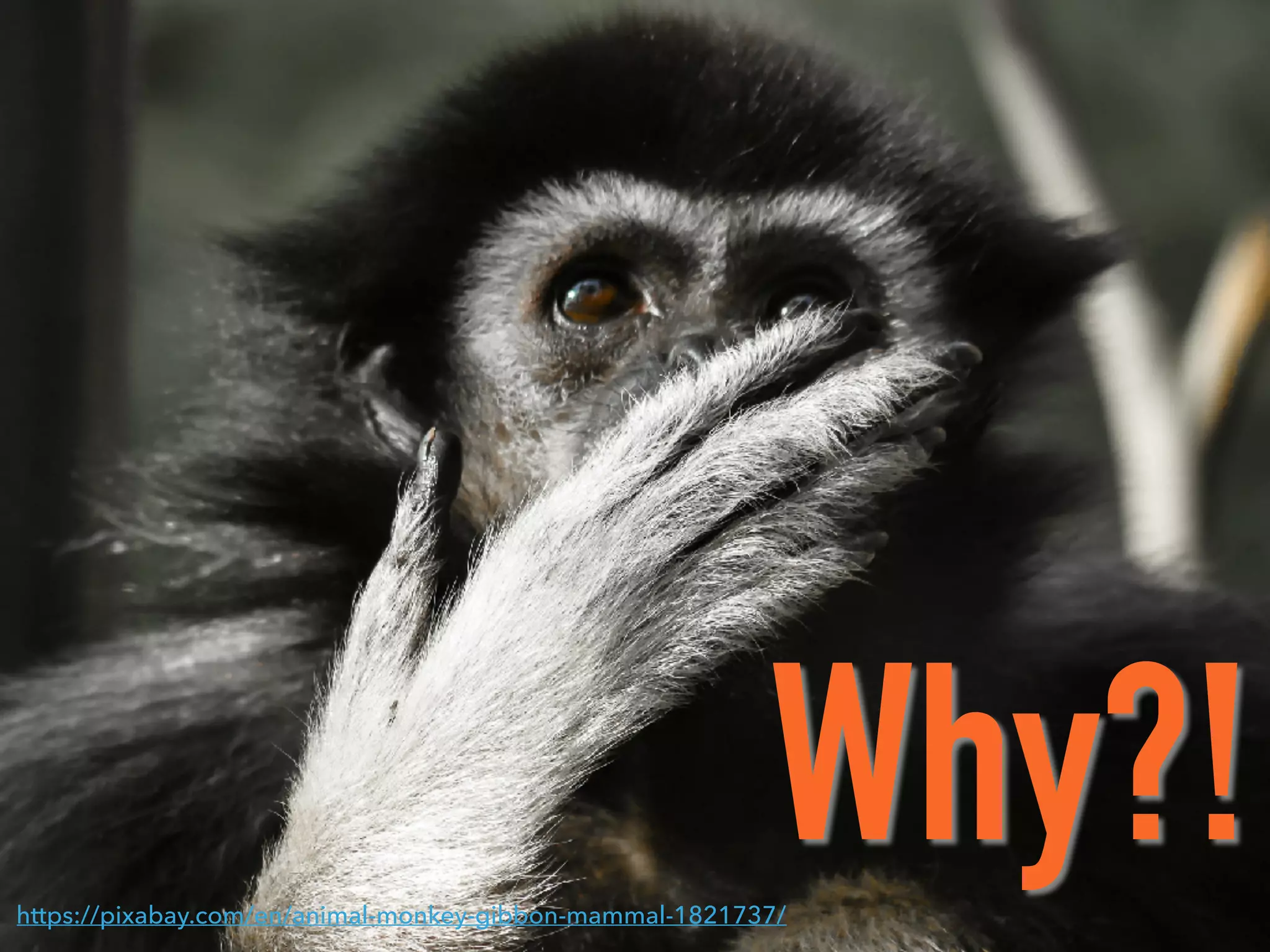 Get rid of scrum masters | PPT