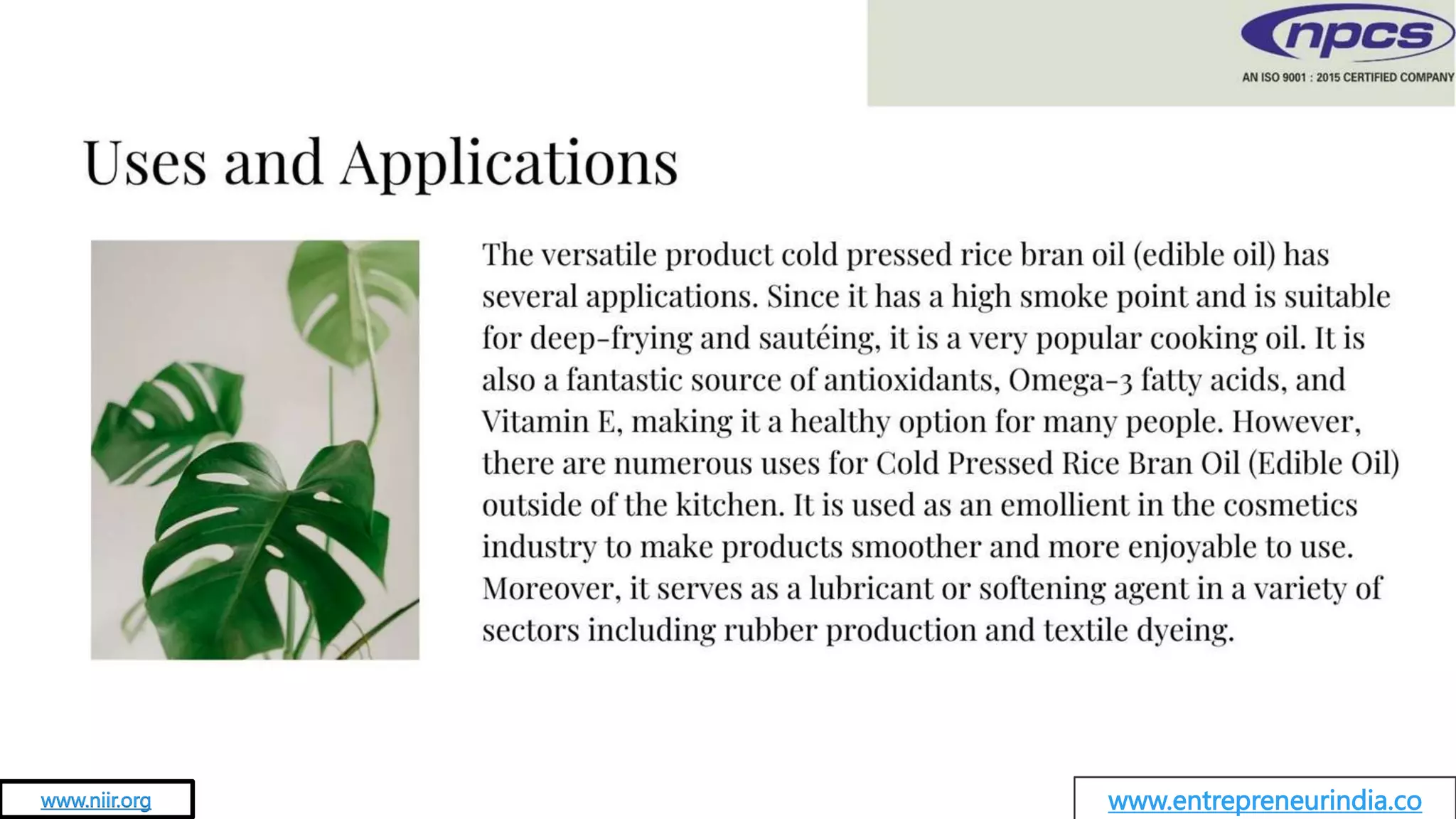 Get Started Today with Cold Pressed Rice Bran Oil (Edible Oil) Production! | PPT