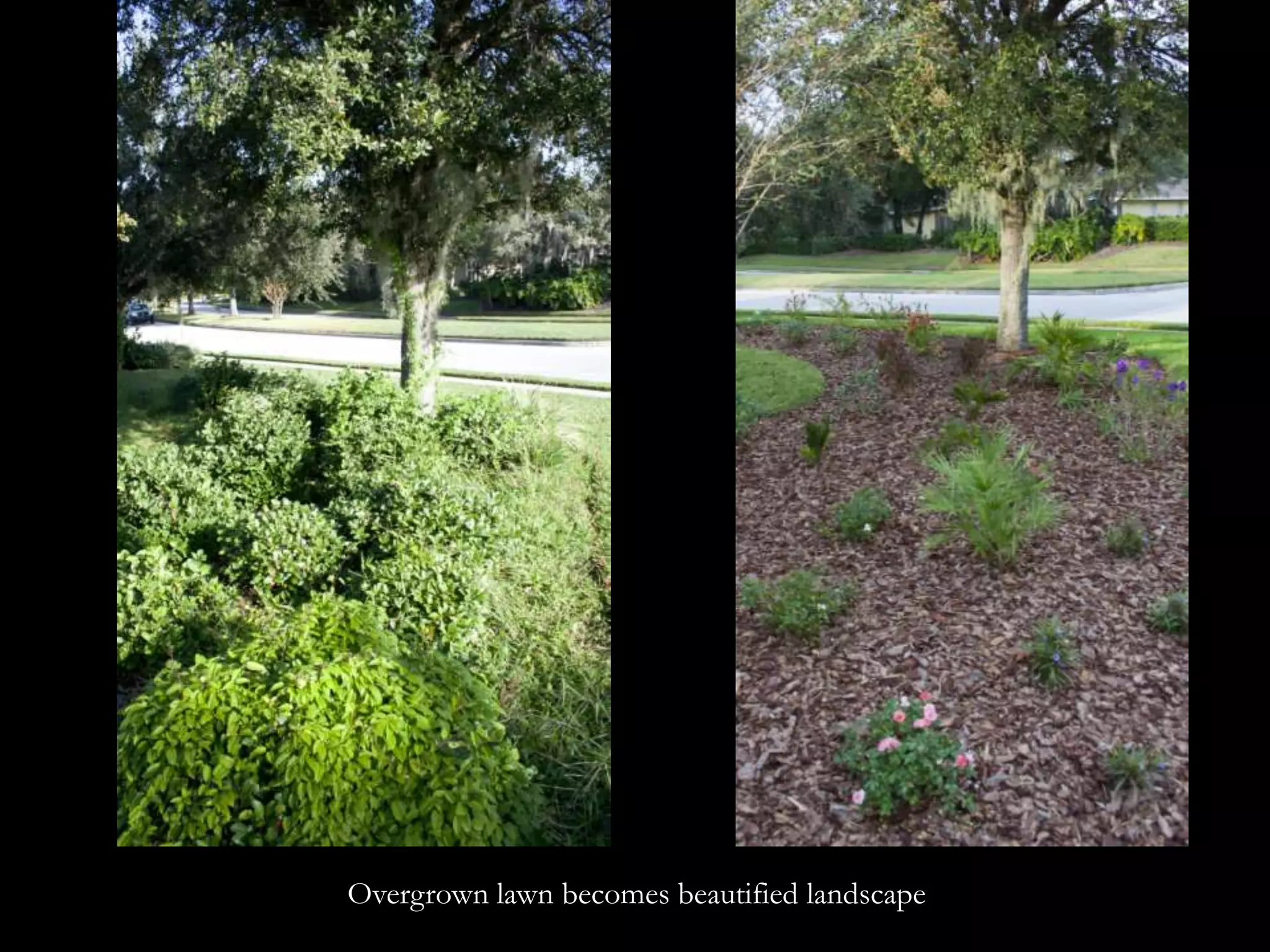 Florida-Friendly Landscaping | PPTX