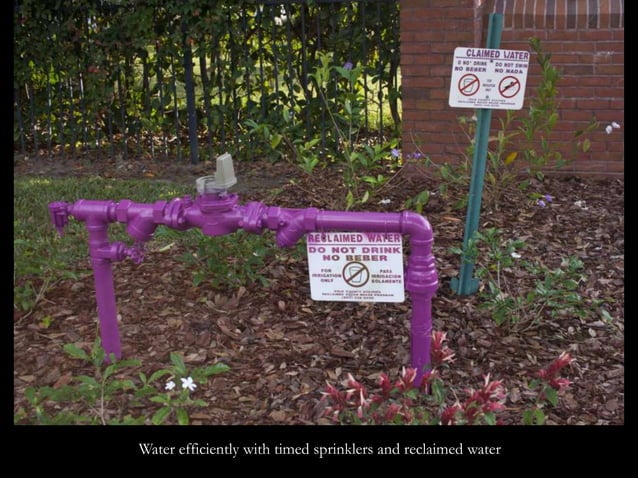 Florida-Friendly Landscaping | PPTX