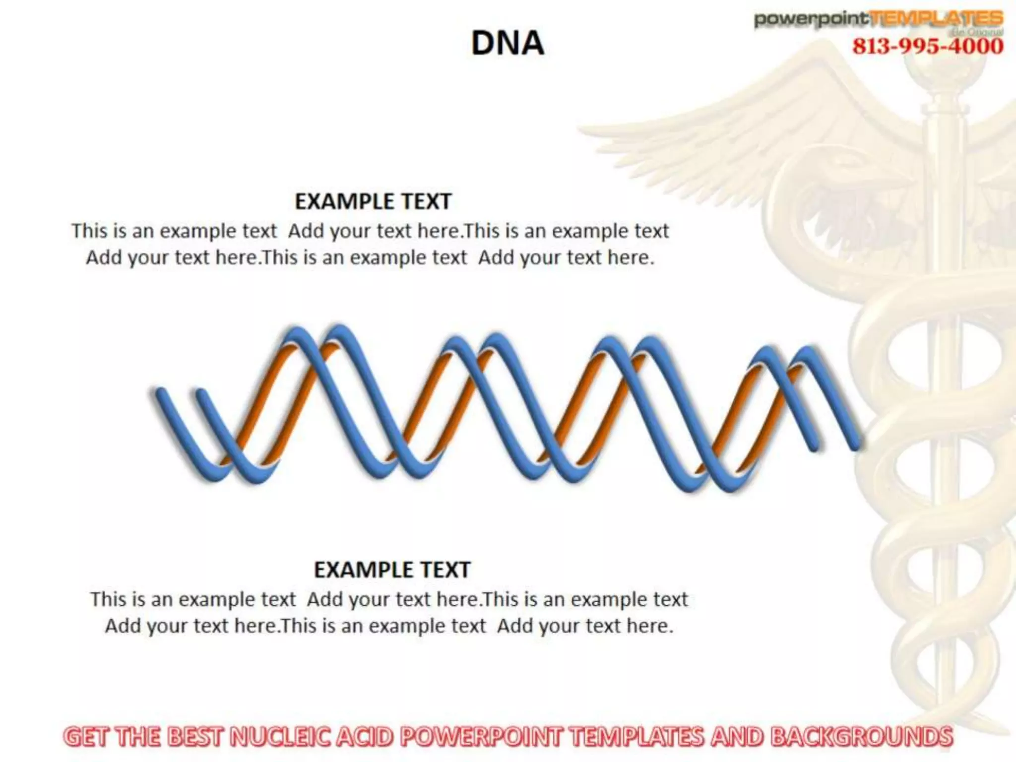 Get the best nucleic acid power point templates and backgrounds | PPTX