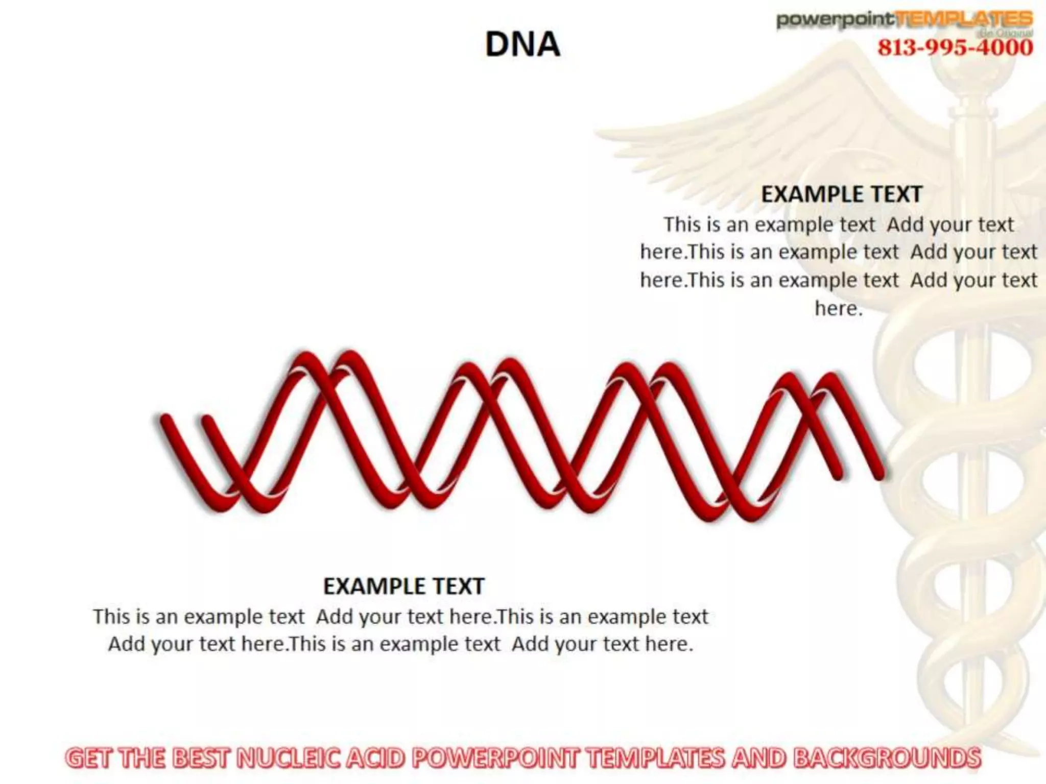 Get the best nucleic acid power point templates and backgrounds | PPT