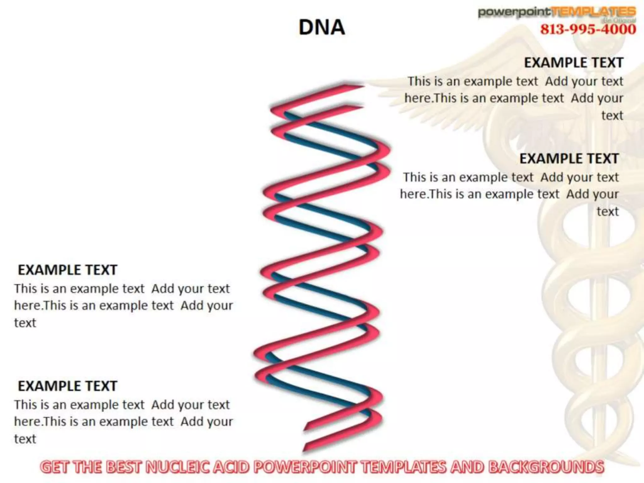 Get the best nucleic acid power point templates and backgrounds | PPTX