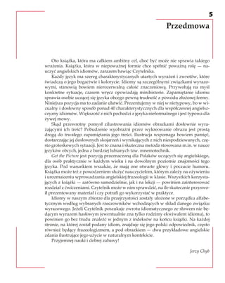 Get the picture. Ilustrowane idiomy angielskie - ebook | PDF