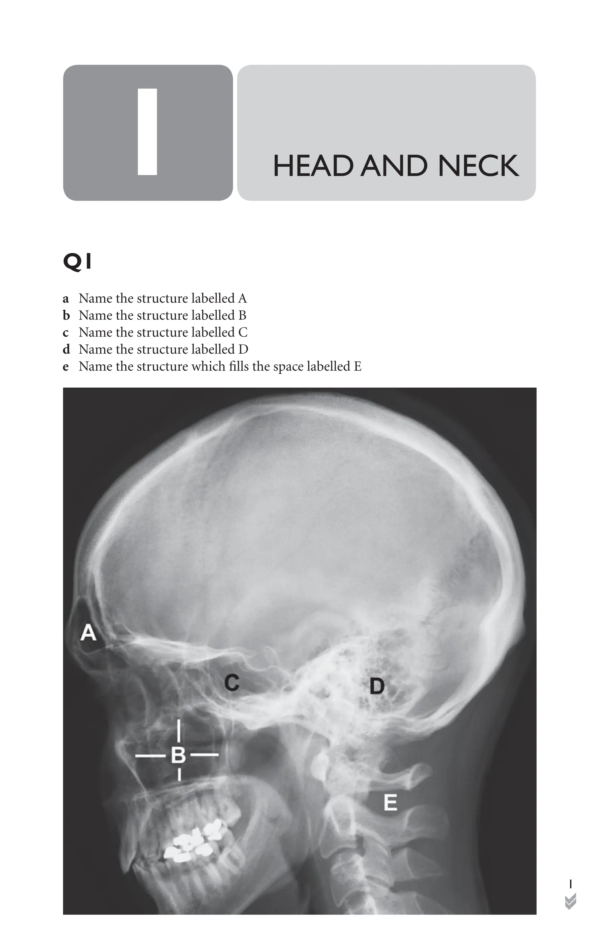 Get Through First FRCR Questions for the Anatomy Module.pdf