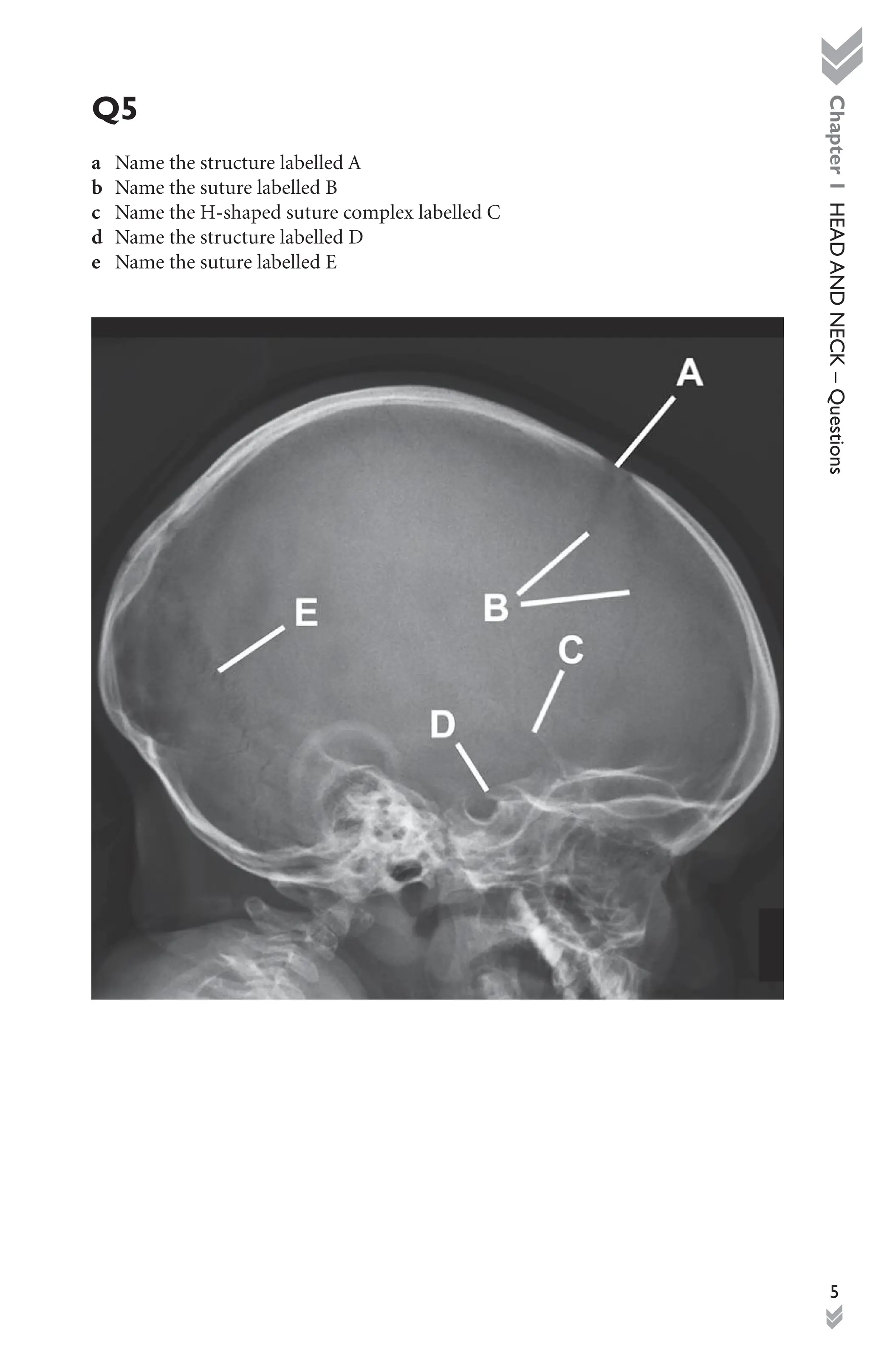 Get Through First FRCR Questions for the Anatomy Module.pdf