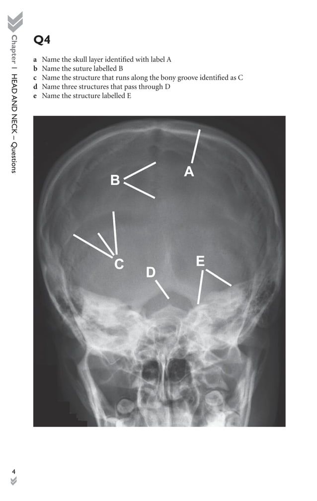 Get Through First FRCR Questions for the Anatomy Module.pdf