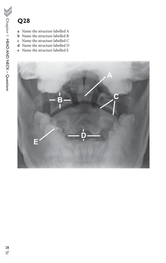 Get Through First FRCR Questions for the Anatomy Module.pdf