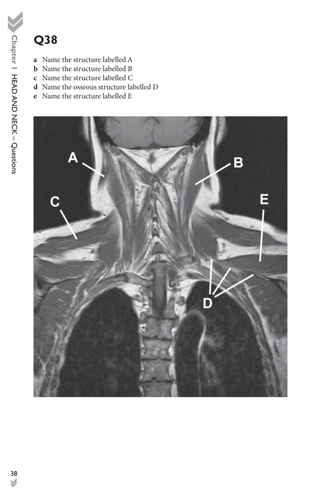 Get Through First FRCR Questions for the Anatomy Module.pdf