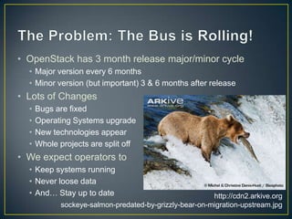 Getting From Folsom to Grizzly - A DevOps Upgrade Pattern.pptx