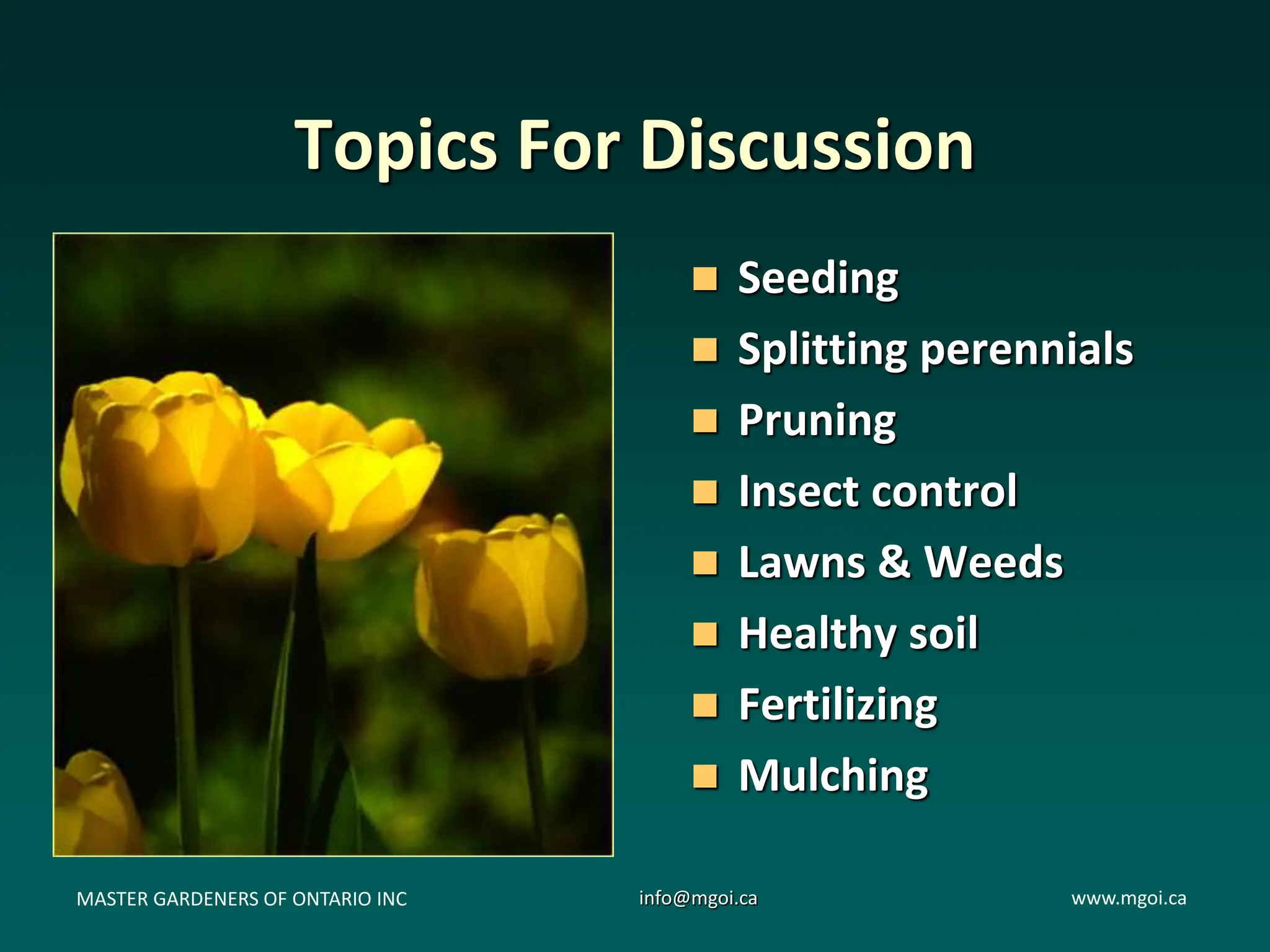 Getting Your Garden Ready for Spring with friends | PPT