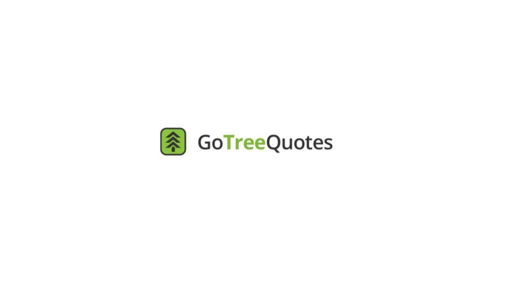 getting-cheaper-tree-removal-quotes