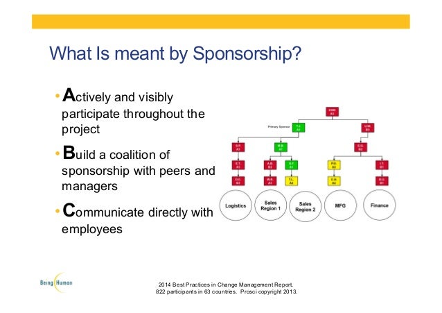 Executive Sponsorship Change Management
