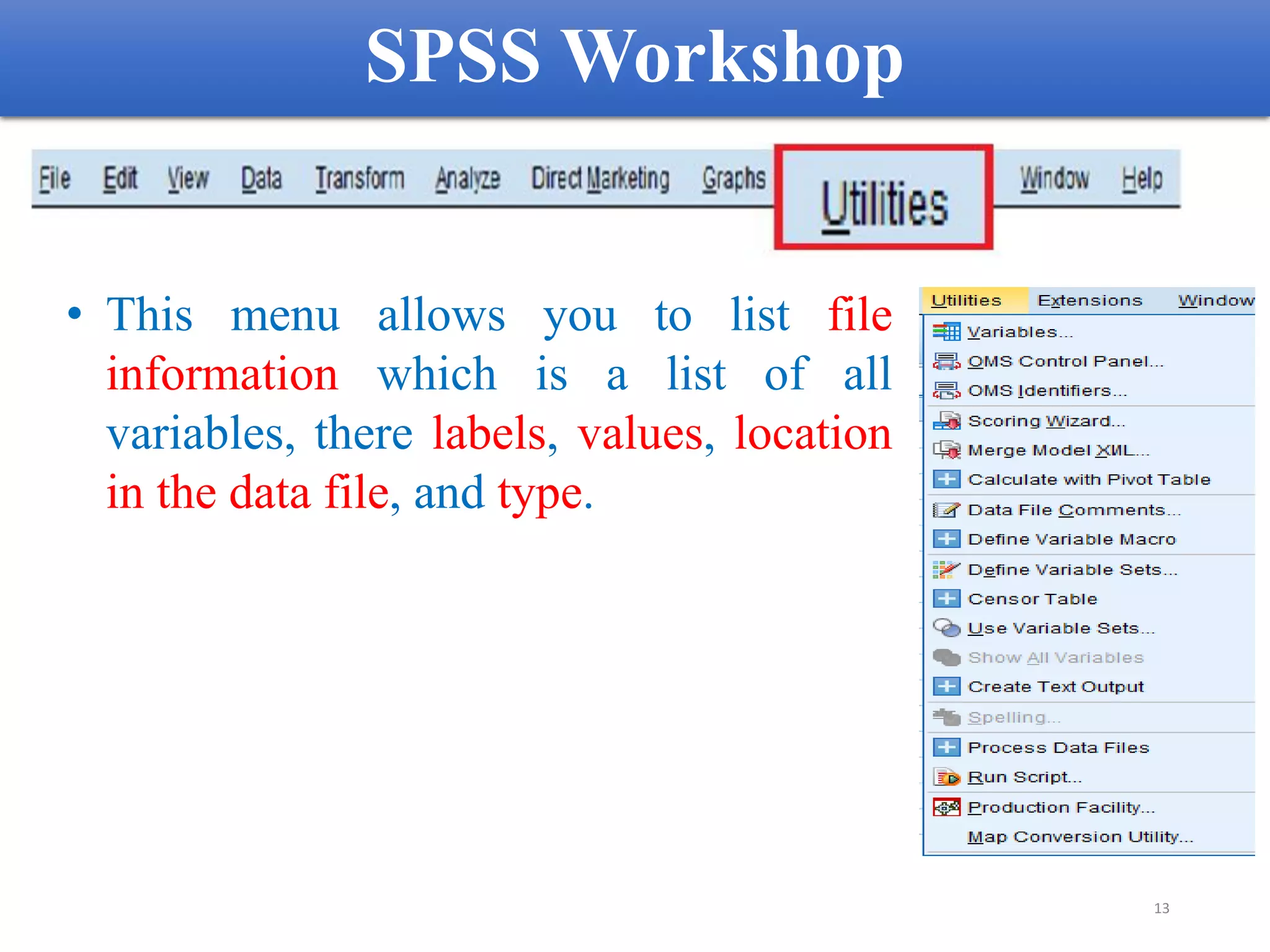 Getting Familiar with SPSS Menus and Icons | PDF