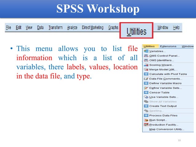 Getting Familiar with SPSS Menus and Icons | PDF