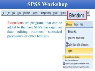 Getting Familiar with SPSS Menus and Icons | PDF