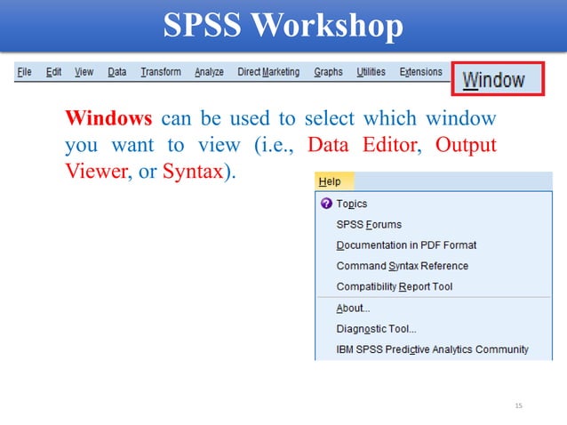 Getting Familiar with SPSS Menus and Icons | PDF
