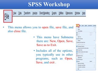 Getting Familiar with SPSS Menus and Icons | PDF