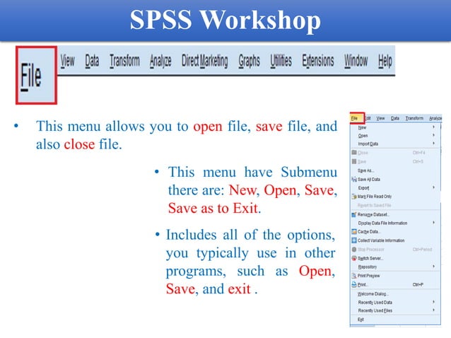 Getting Familiar with SPSS Menus and Icons | PDF