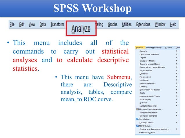 Getting Familiar with SPSS Menus and Icons | PDF